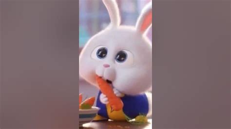 스노우볼 토끼🥕 Youtube