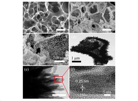 a scanning electron microscopy sem image of hpc sem images