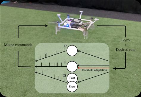 We Propose A Novel Spiking Neural Network Mechanism For Realizing The