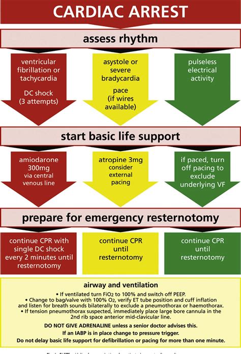 Figure 1 From Guideline For Resuscitation In Cardiac Arrest After