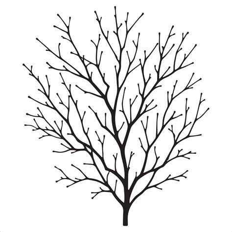 Minimal Autumn Naked Tree Vector Silhouette 36286086 Vector Art At Vecteezy