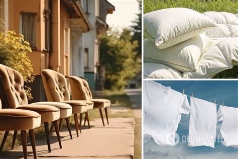 Які речі стають чистішими на сонці несподіваний лайфхак для лінивих господинь Читайте на Ukr Net