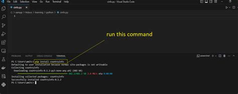 How To Check Any Country Information Using Python Devops Freelancer