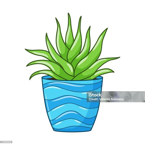 냄비에 벡터 만화 알로에 다육 질의 잎이있는 실내 즙이 많은 식물 가정과 인테리어를위한 하우스 공장 흰색 배경에 고립 된 다채로운 식물 낙서 일러스트레이션 만화에 대한 스톡