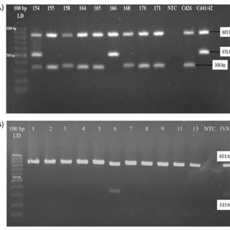 Frequency Of β Globin Gene Cluster Mutations N87 Download Scientific Diagram