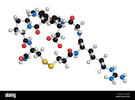 Eptifibatide Anticoagulant Drug Molecule 3d Rendering Atoms Are