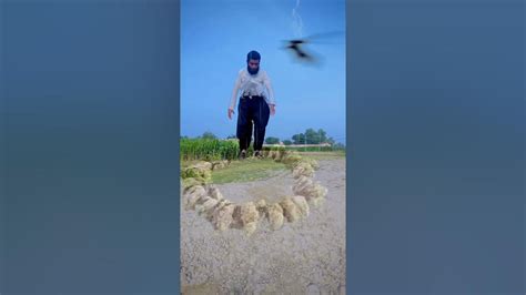 Karrish 4😱 Wait For End🐕🤣 Funny Comedy Nsabubakar Shortsviral