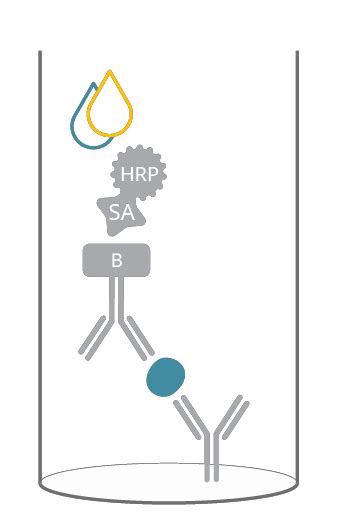 Our Elisa Products Mabtech