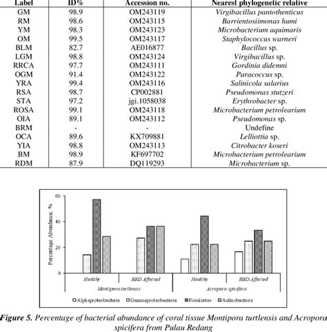16s Rdna Sequencing Results For Healthy And Bbd Affected Coral Of Download Scientific Diagram