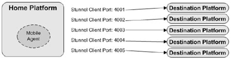 multiple destination stunnel setup download scientific diagram
