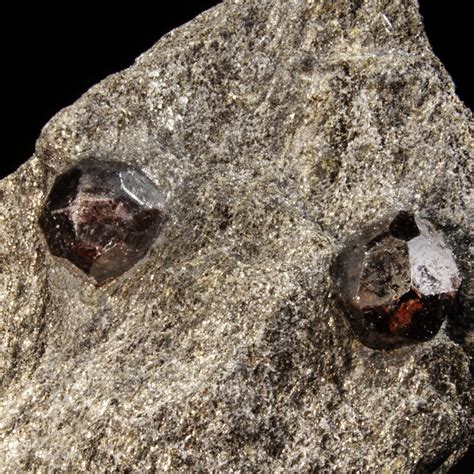 Mineral Specimen For Sale Almandine Garnets In Schist