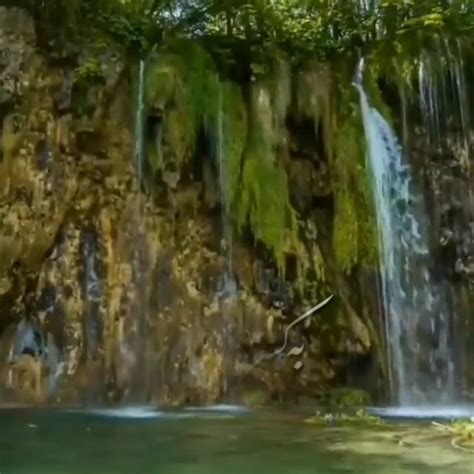 بہ کسے اعتماد کن کہ فیلم ویسگون