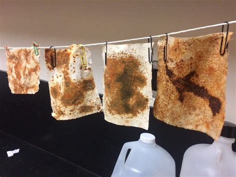 Investigation Where Art Meets Science — Art21