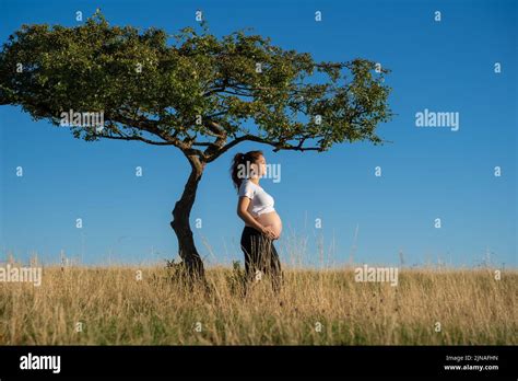A Pregnant Woman With A Tree Stock Photo Alamy