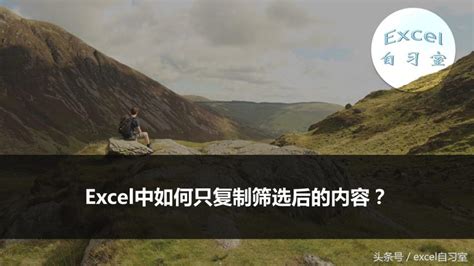 只复制筛选出来的单元格的方法（excel如何只复制筛选后的内容） 天天办公网