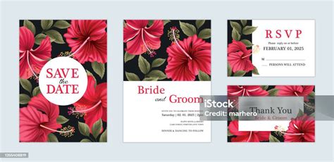 아름다운 히비스커스 꽃 배경 템플릿 웨딩 초대장 인사말 카드 봉투 바우처 브로셔 및 배너 디자인을위한 꽃 요소의 벡터 세트 청첩장에 대한 스톡 벡터 아트 및 기타 이미지