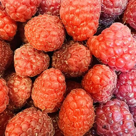 От Манастира Екологично чисти продукти