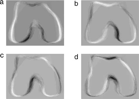 Figure 3 From Computational Statistics And Data Analysis Functional Data Analysis In Shape