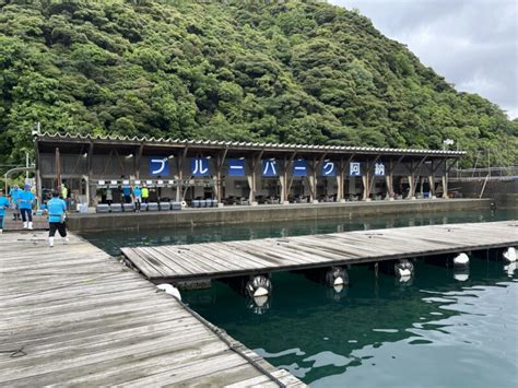 2年生阿納研修2日目②海の活動 多治見市立北陵中学校