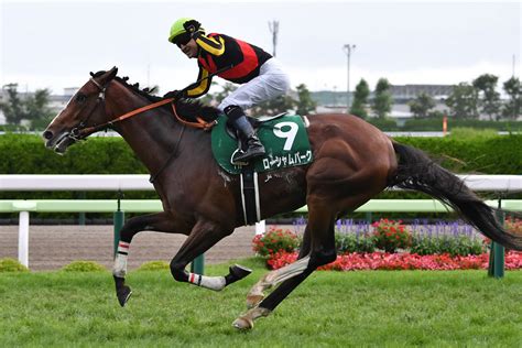 函館記念勝ち馬ローシャムパークはルメール騎乗でオールカマーへ 競馬ニュース・特集なら東スポ競馬