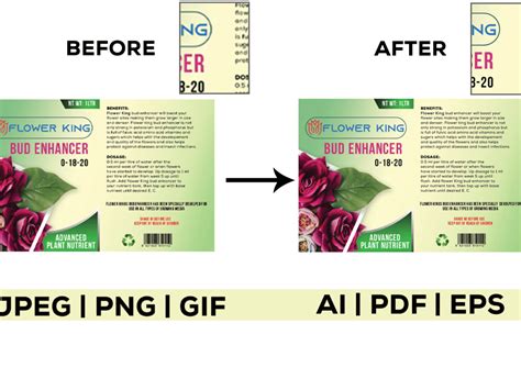 Jpeg Png Raster Converted To Vector Upwork