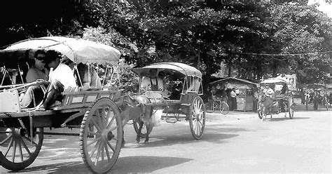 ရန်ကုန်တွင် ဆိုင်ကယ်များကိုဖမ်းဆီးနေသဖြင့် မြင်းလှည်းအသုံးပြုသူများလာ