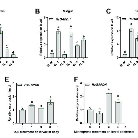 Expression Profile Of Hagapdh A C Transcript Analyses Of Hagapdh In Download Scientific