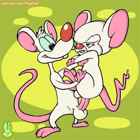Post Animaniacs Brain Pinky Pinky And The Brain