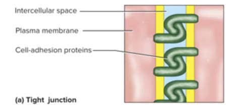 Chapter 5 Flashcards Quizlet Chapter 5 Flashcards Quizlet