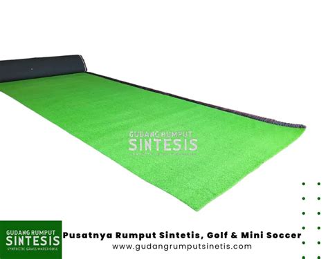 18 Jenis Rumput Taman Lengkap Dengan Harganya Gudang Rumput Sintetis