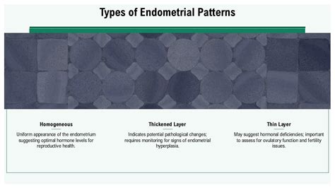 Top 10 Homogeneous Powerpoint Presentation Templates In 2025