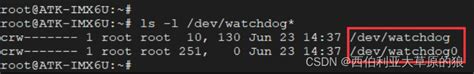 Linux应用层例程5 看门狗应用编程linux的狗咬是啥意思 Csdn博客