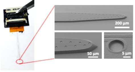 Multimodal Neural Implants Neuroelectronics Lab