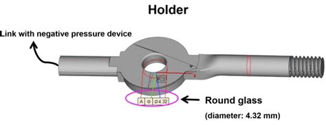 In Vivo Vascular Permeability Detection In Mouse Submandibular Gland Video Jove Protocol