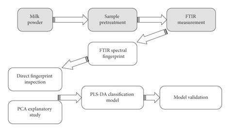 Schematic Workflow Of This Study Download Scientific Diagram