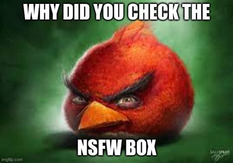 Realistic Red Angry Birds Imgflip