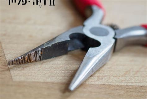 פלייר ערביט