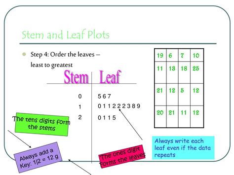 Ppt Stem And Leaf Plots Powerpoint Presentation Free Download Id6597415