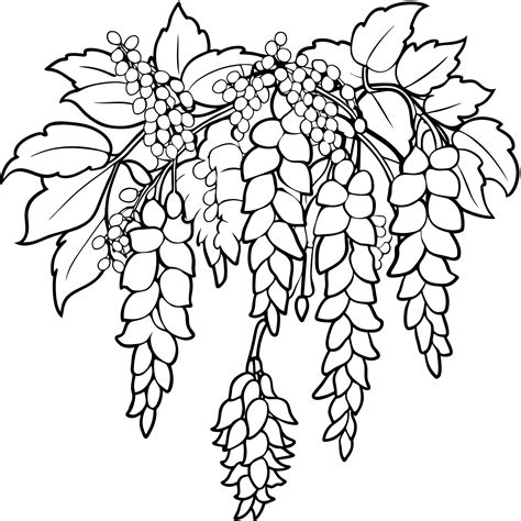 Vivisteria Flower Coloring Page