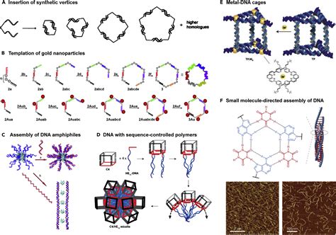 Dna Nanostructures At The Interface With Biology Chem