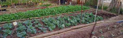 Raised Garden Soil Calculator Fasci Garden