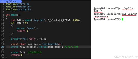 【linux】文件操作 文件描述符 文件缓冲区 文件重定向一linux 文件描述符l Csdn博客