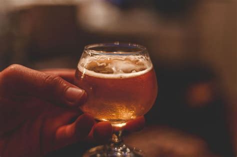 The Ultimate Guide To High Gravity Brewing Tips Tricks And Recipes Micet Craft Brewery