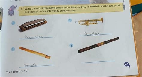 Wind Instruments Names