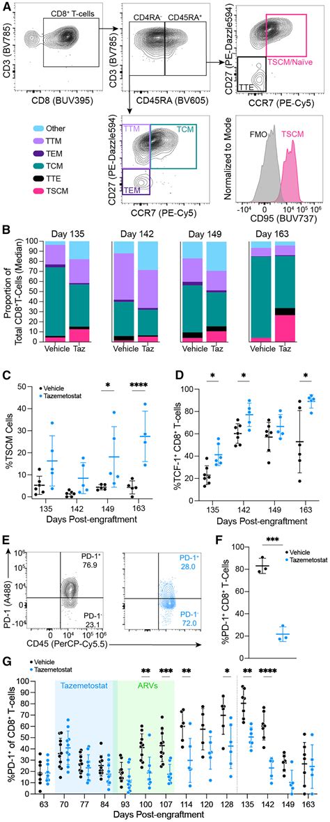 Ezh2 Inhibition Mitigates Hiv Immune Evasion Reduces Reservoir Formation And Promotes Skewing