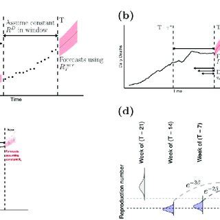 Schematic of the models a Model assumes a single value for R½T À t Download Scientific