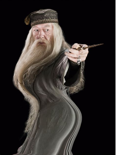Bet You Never Thought You Would Want To See A Dummy Thick Dumbledore Rharrypotter