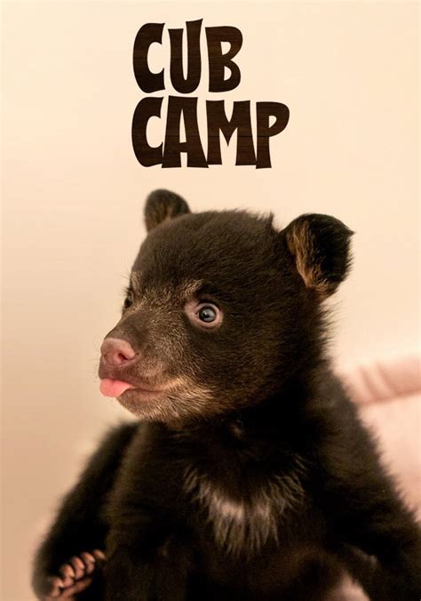 Cub Camp Watch Tv Show Streaming Online