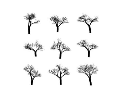 Hand Drawn Tree Branch Vector Art Icons And Graphics For Free Download