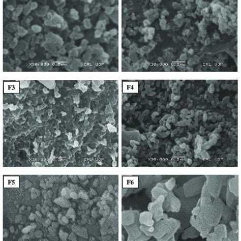 Sem Analysis Of Prepared Nanoparticulate Formulations Download